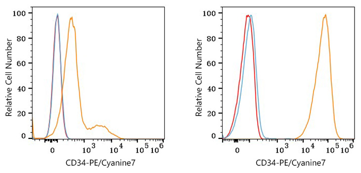 PE/Cyanine7 Rabbit anti-Mouse CD34 mAb-单克隆抗体- ABclonal