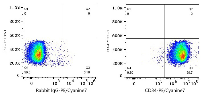 PE/Cyanine7 Rabbit anti-Mouse CD34 mAb-单克隆抗体- ABclonal