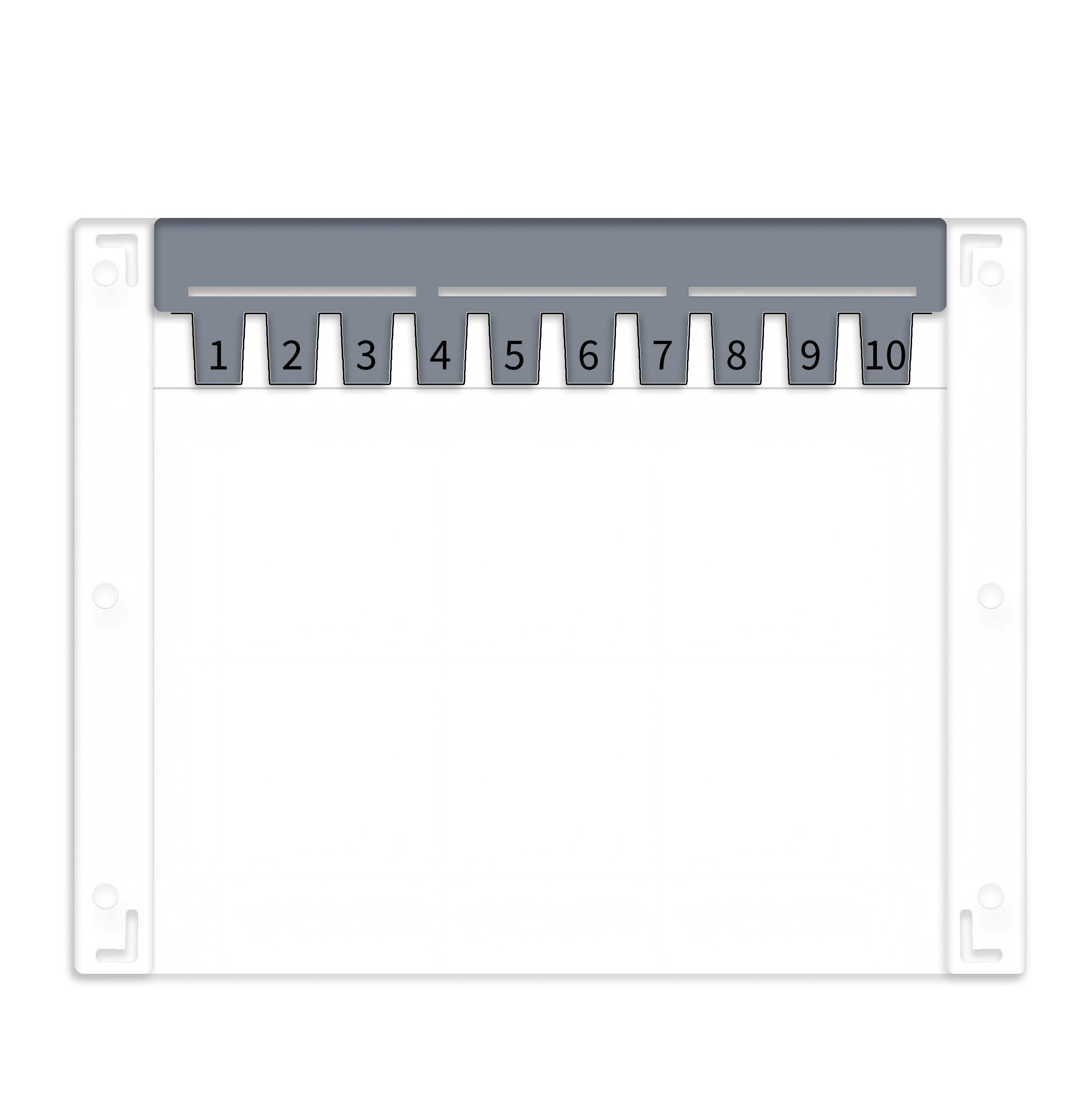 Precast Tris-Gly (4-20%)10 well Gradient Gel Ultra-Fast Protein ...