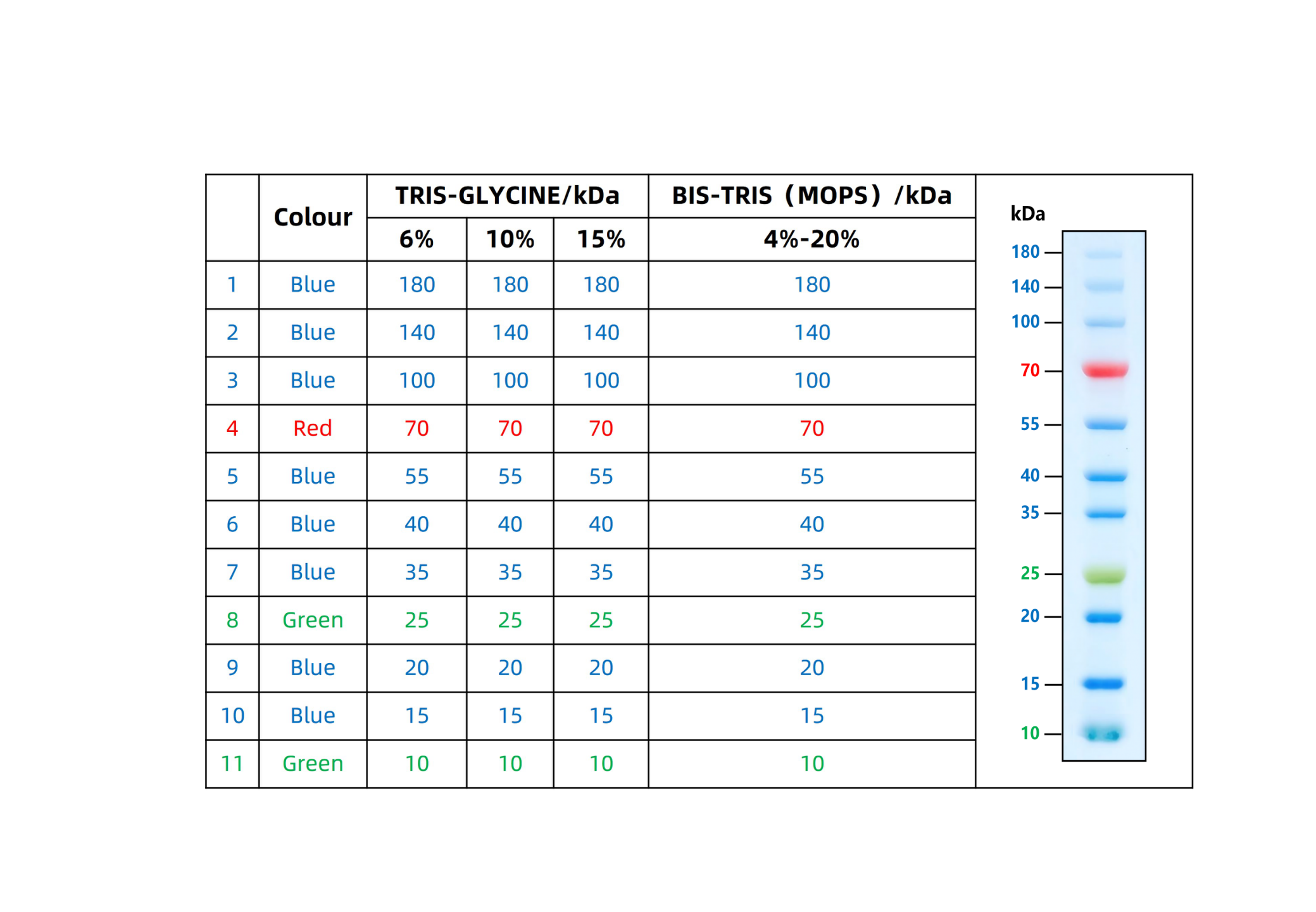 蛋白Marker- ABclonal